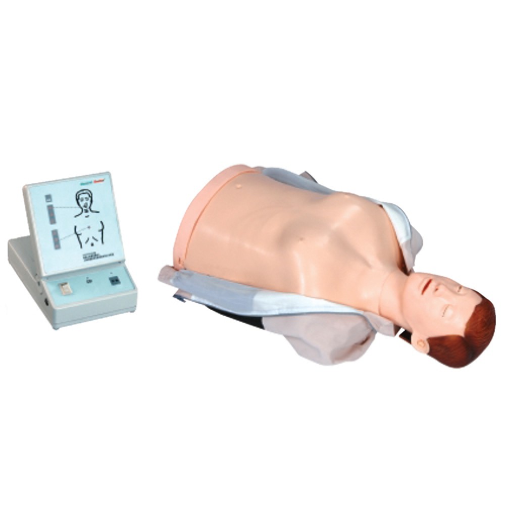 Jual Advanced Half-body CPR Training (GD/CPR 180S) dari AAMEDICAL | Goalkes
